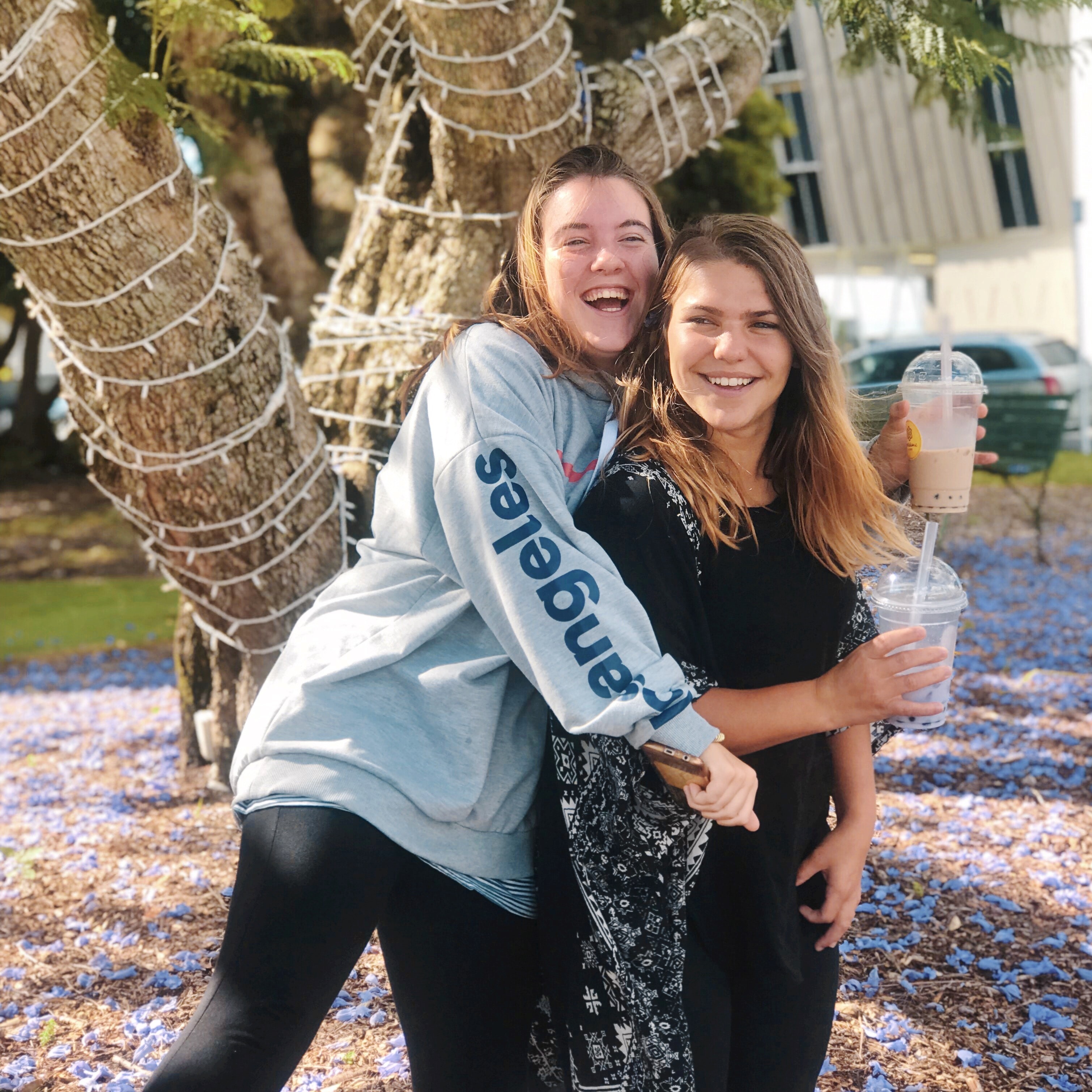 Home - Platform Trust